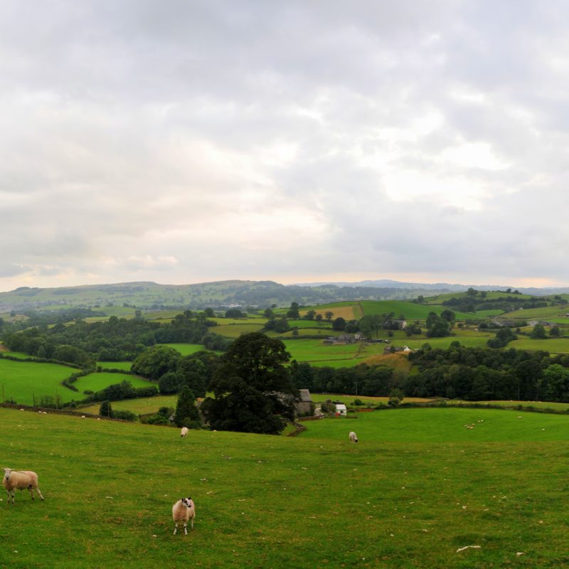 180 graden Panorama Foto’s