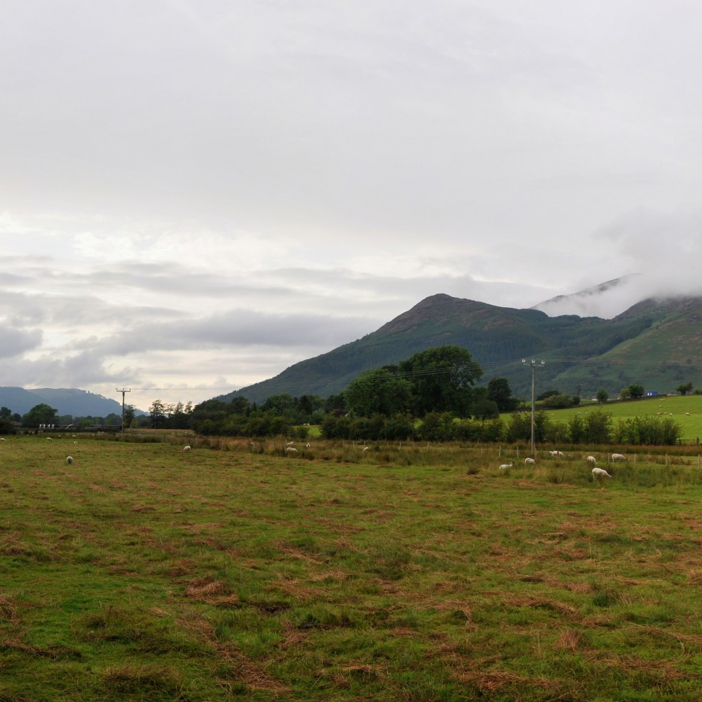180 graden Panorama Foto’s